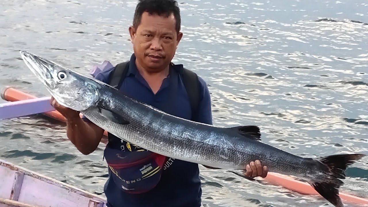 3 Tips Jitu Membuat Umpan Ikan Layur Paling Ampuh